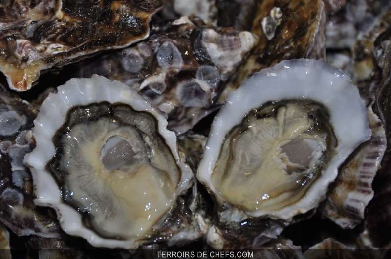 La Seven de Tarbouriech, huitre d'exception de l'Etang de Thau