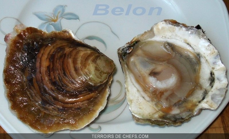 Choisir ses huitres / Balades gourmandes / Chroniques - Terroirs de chefs