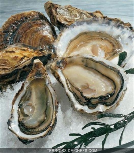 Choisir ses huitres / Balades gourmandes / Chroniques - Terroirs de chefs