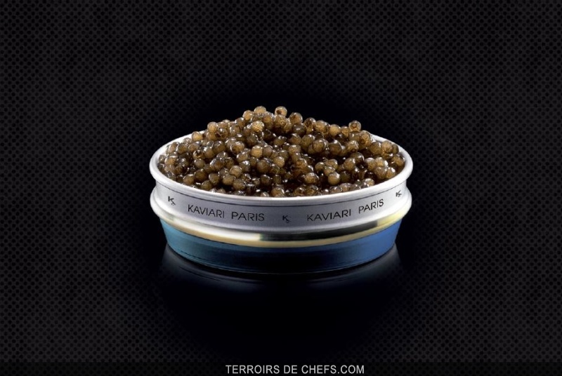 Kaviari, chasseur d'esturgeons, Maison de caviar