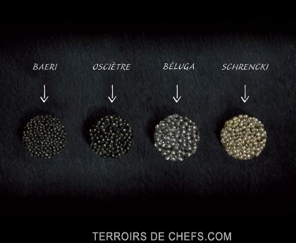 Kaviari, chasseur d'esturgeons, Maison de caviar