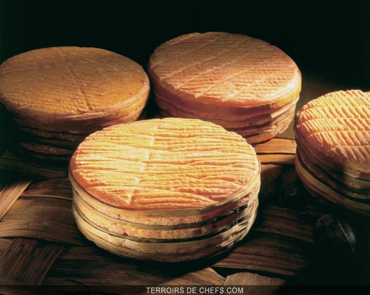 Le Livarot Le livarot, un « Normand » de caractère…