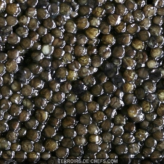 Conseils chef caviar recette Marc Meneau Eric Frechon Petrossian