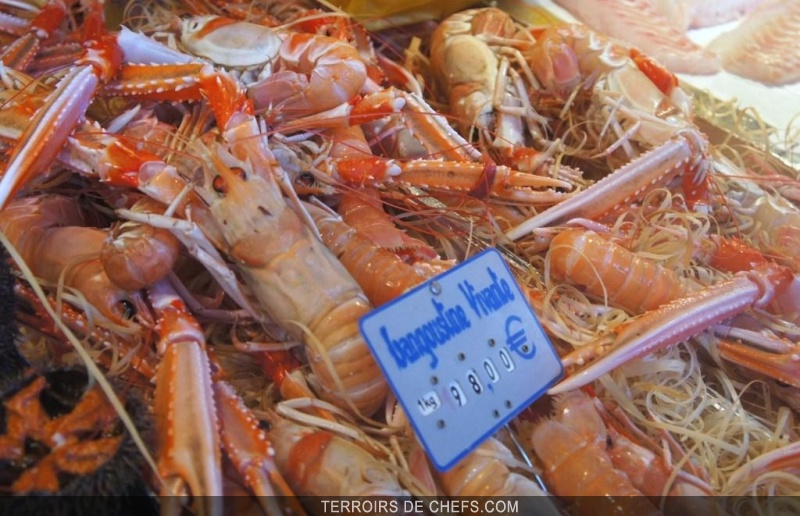 La Langoustine Délicieuse et fragile
