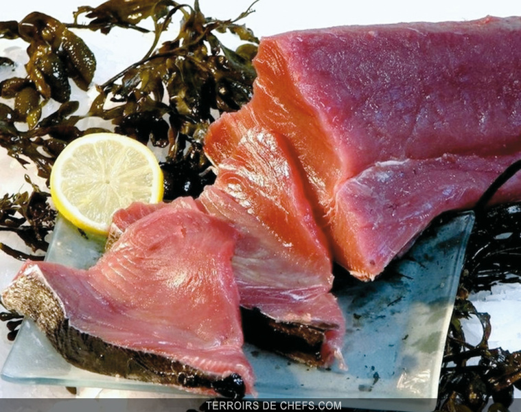 Le Thon baisse d’un ton…