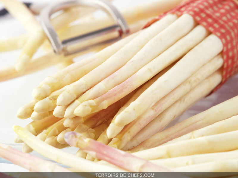 L'Asperge Délicate et légère, elle annonce le printemps…