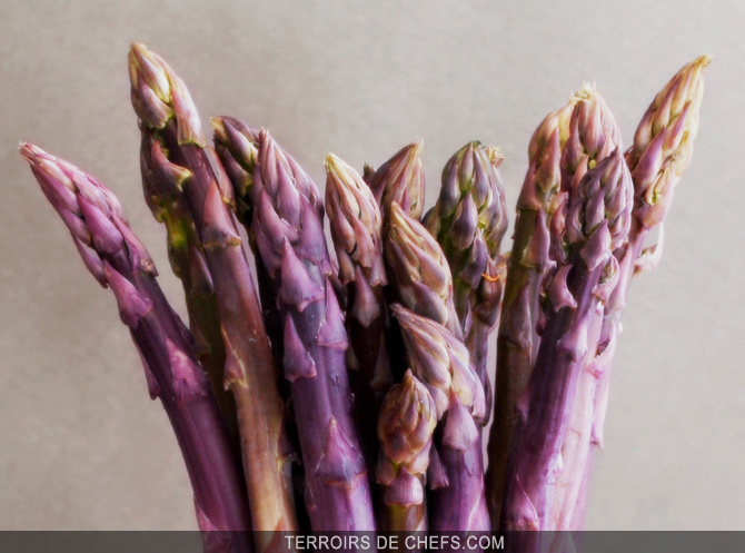 L'Asperge Délicate et légère, elle annonce le printemps…