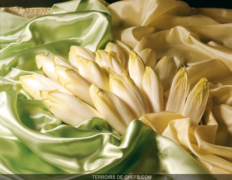 L'Endive L’endive, "l’étoile" du Nord…