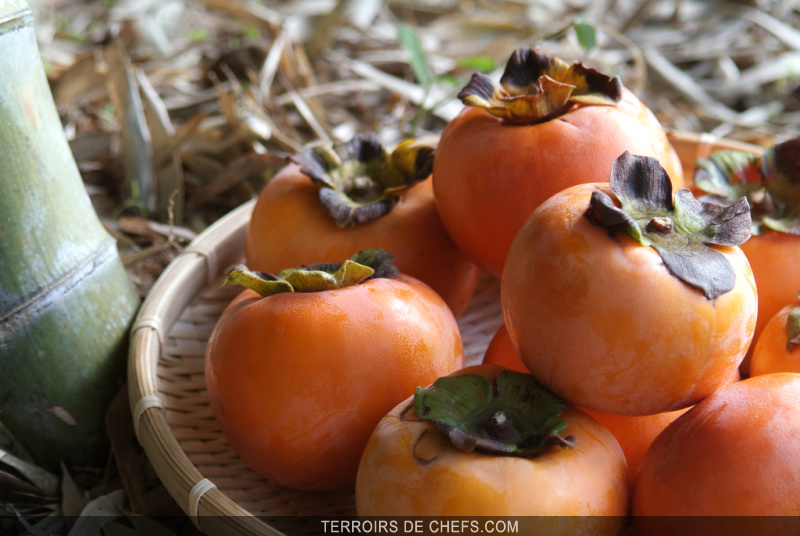 Le Kaki Fruit du Plaqueminier comme son nom ne l'indique pas