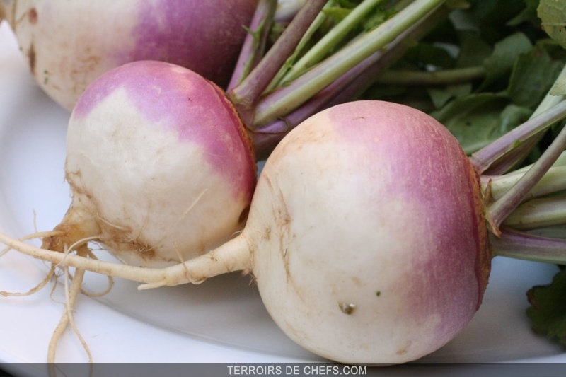Le navet Depuis des siècles, la langue lui fait des misères : il faut ...