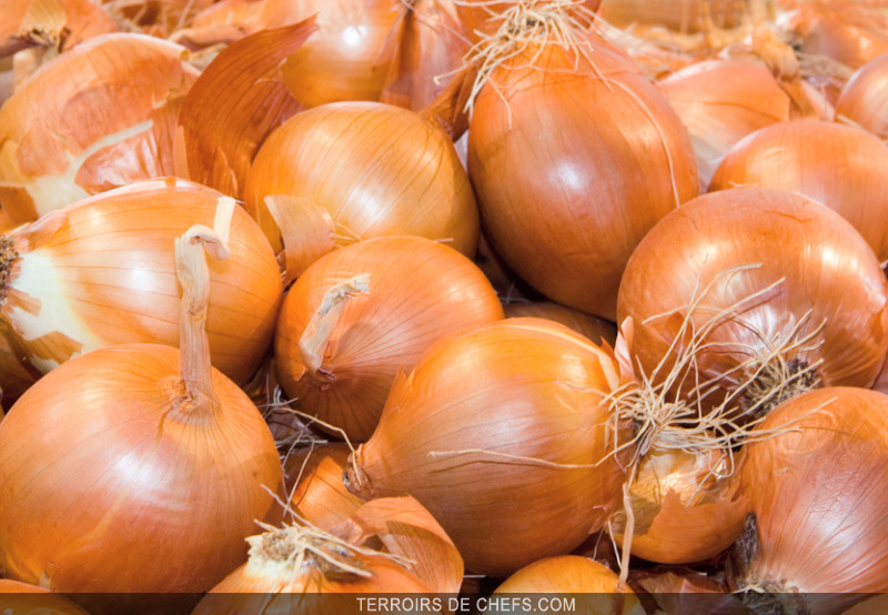 Marie-France Nauwelaers, du Domaine de Bordère Productrice dans l’Aude